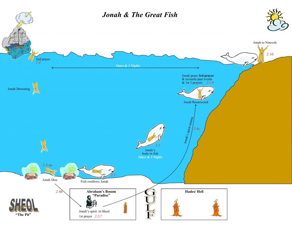 Jonah & Fish - Everlasting Strength
